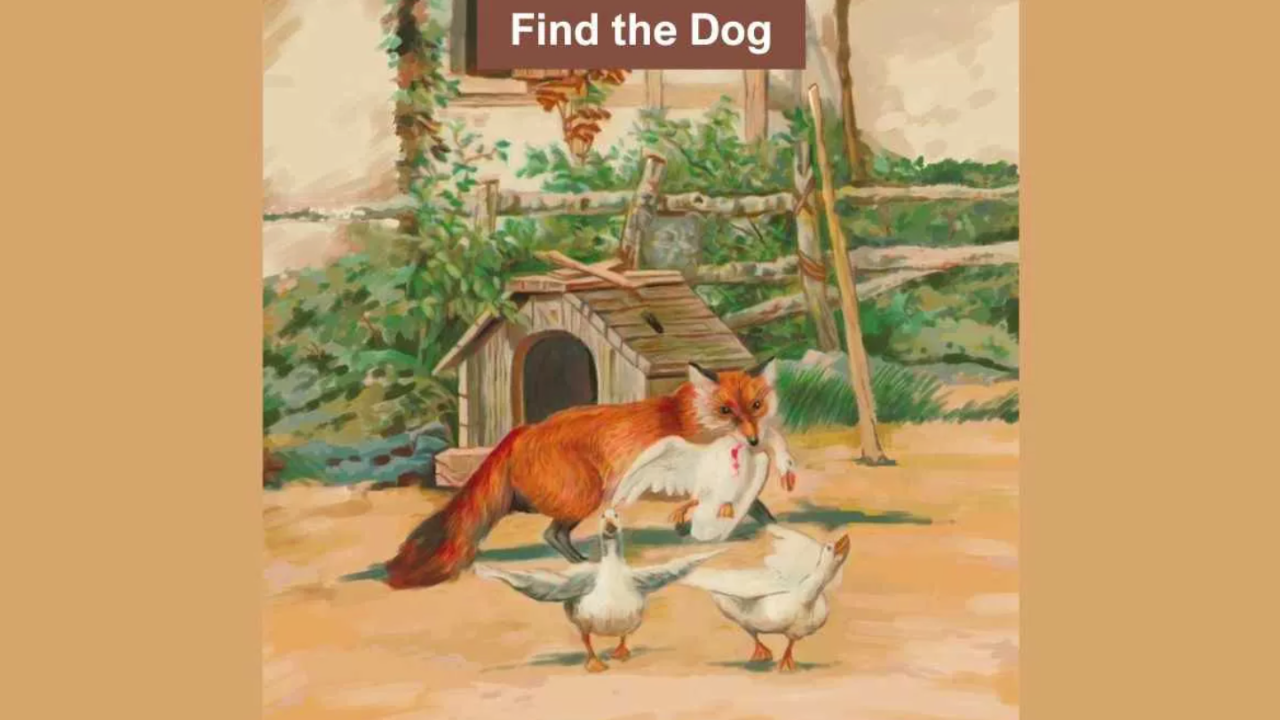 Optical Illusion Challenge: Find the Hidden Dog in 7 Seconds - Jokes Daddy