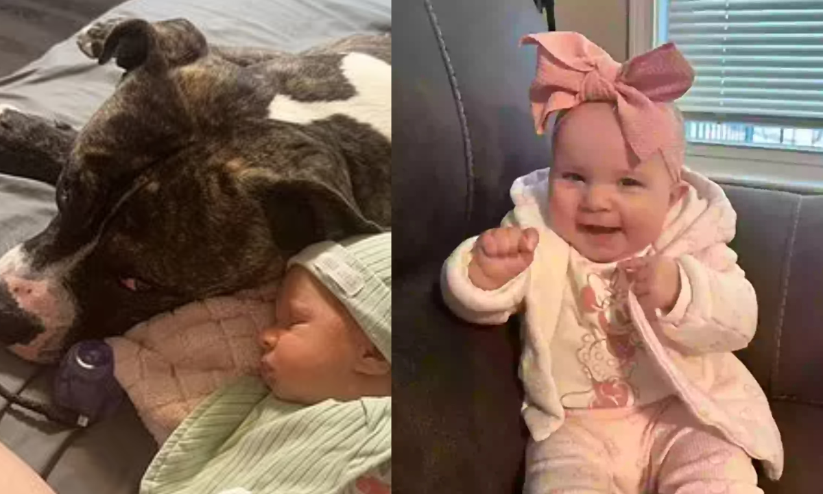 Heartbroken Mother Speaks Out After 7-Month-Old Baby Is Killed by ...